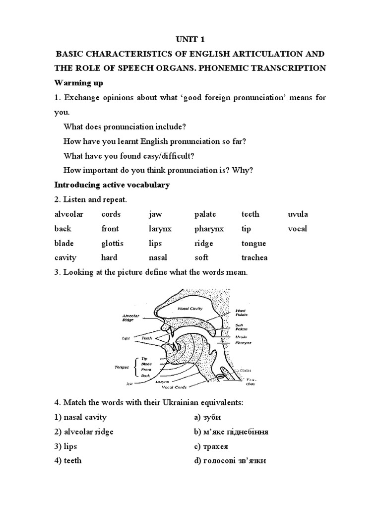 Units 1-6 | PDF | Vowel | Speech