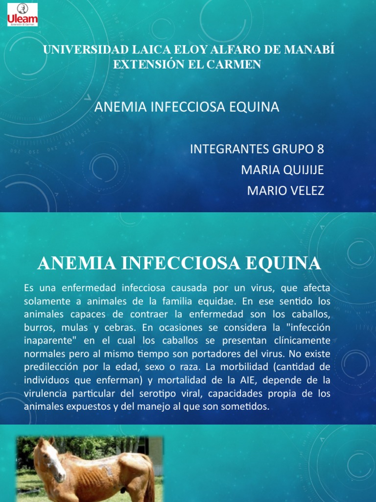 Anemia Infecciosa Equina | PDF | Virus | Retrovirus