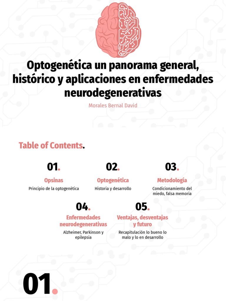Optogenética un panorama general, histórico y revisión bibliográfica de aplicaciones en ...