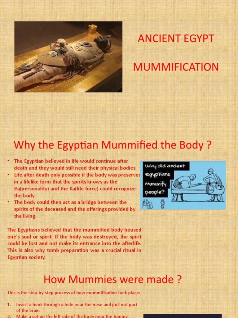 Mummification | Download Free PDF | Mummy | Ancient Egypt