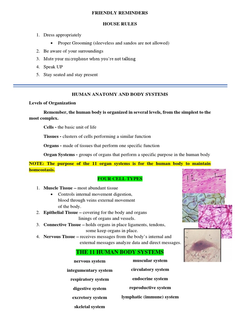 Human Anatomy and Physiology | PDF | Human Body | Skin