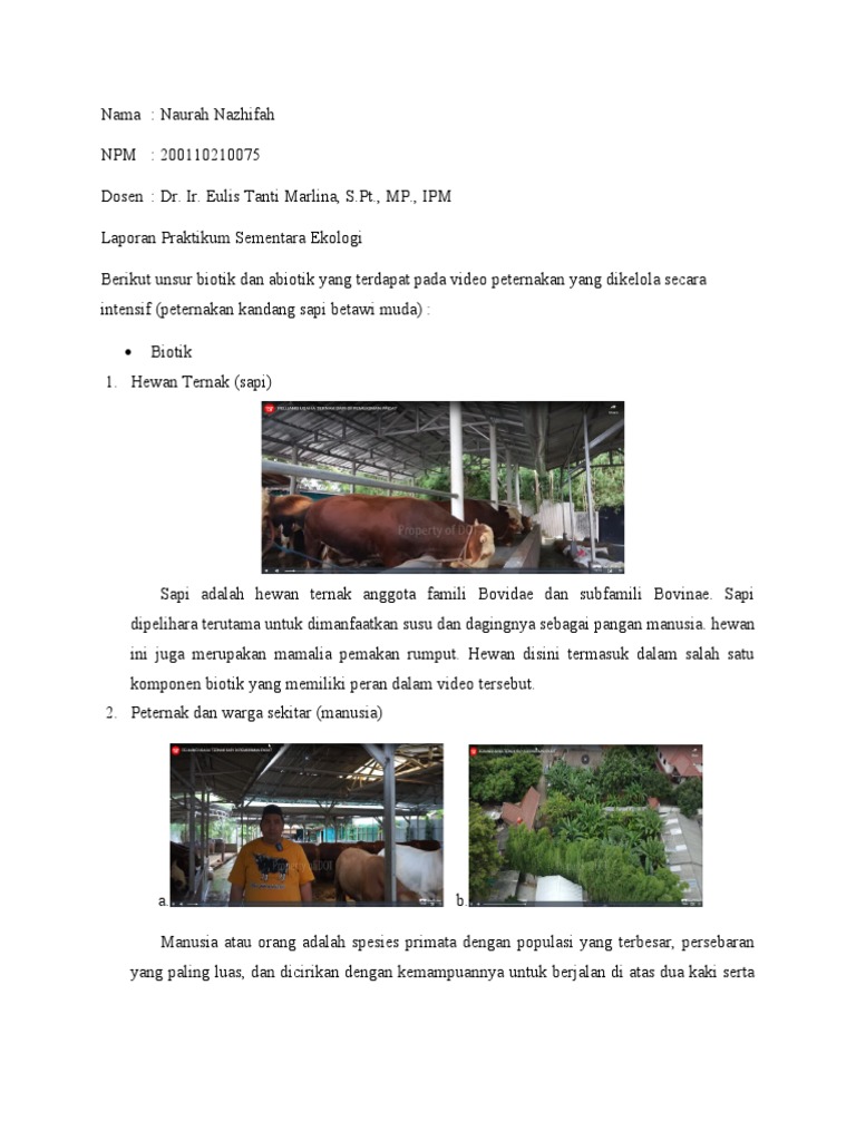 Laporan Praktikum Eko | PDF