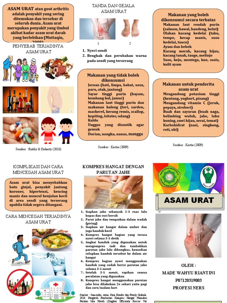 Leaflet Asam Urat | PDF