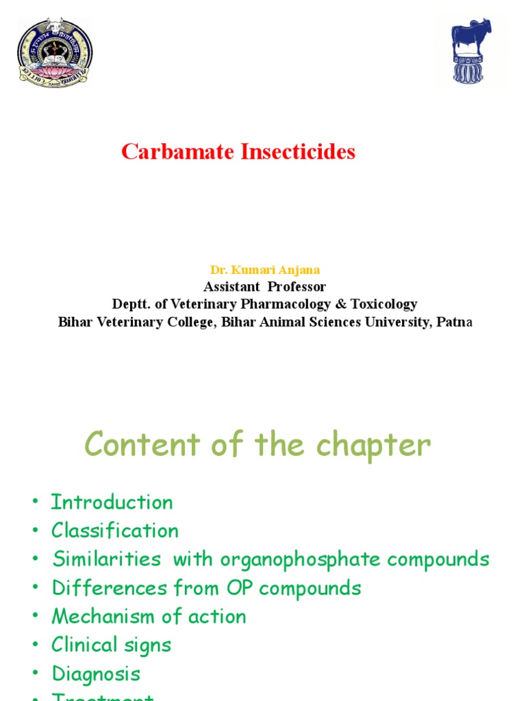 Carbamate Insecticides Overview | PDF | Insecticide | Enzyme Inhibitor