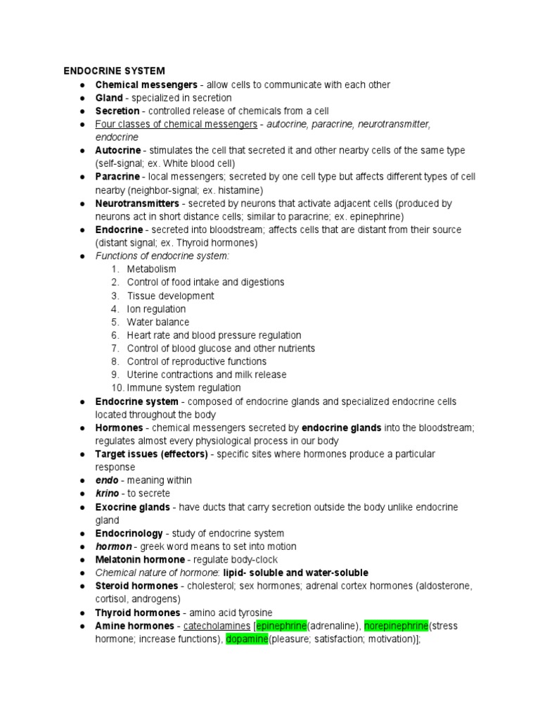 Endocrine System Notes | PDF | Hormone | Endocrine System