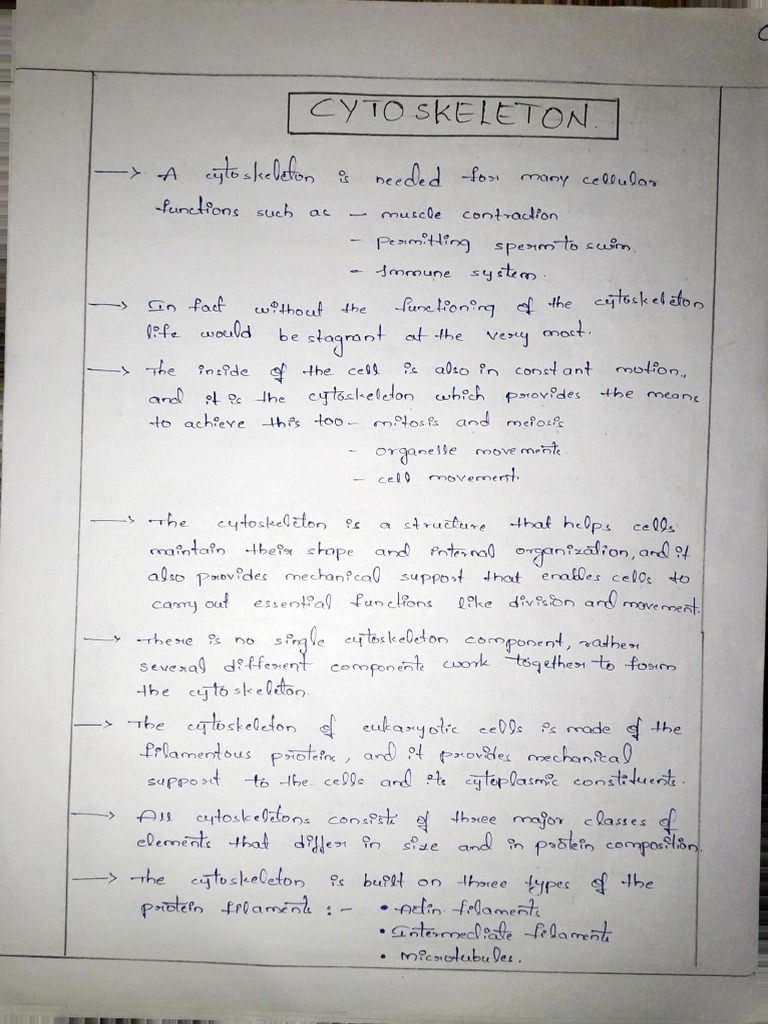 Cell Biology Assignment | PDF