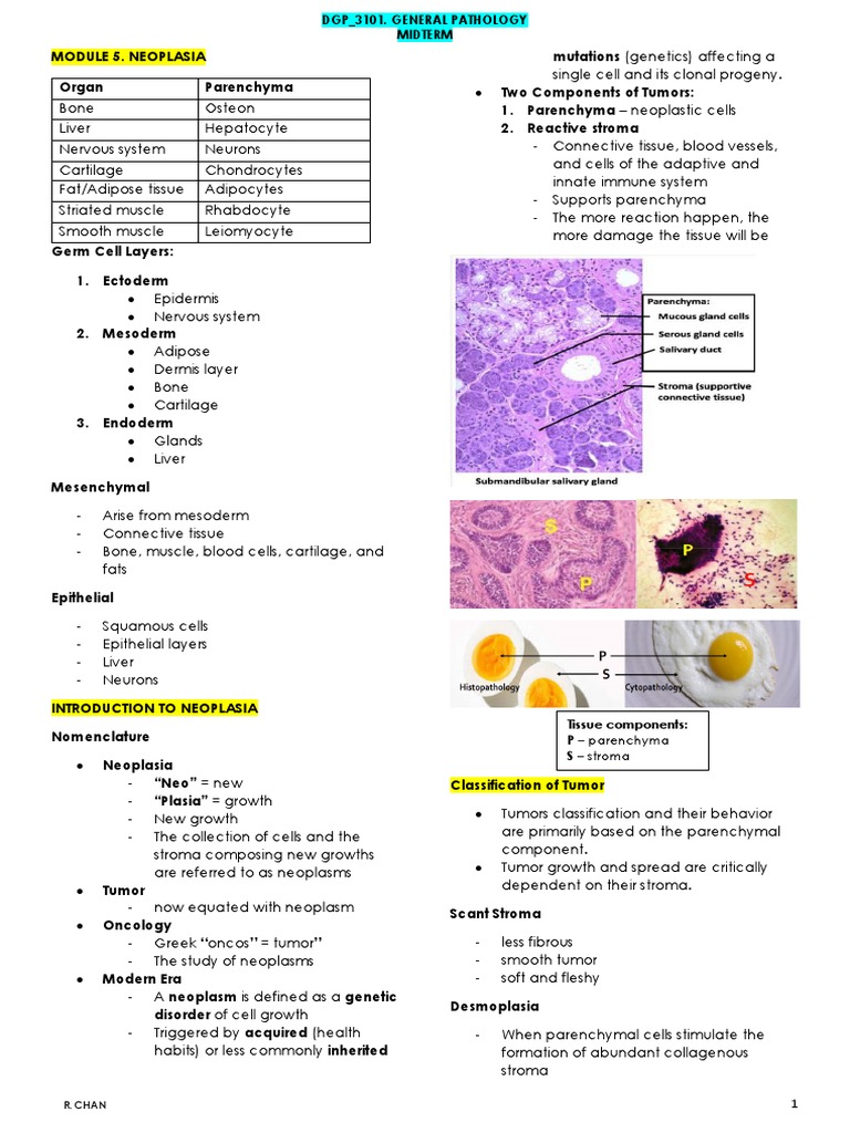 Understanding the Fundamentals of Neoplasia: A Comprehensive Overview ...