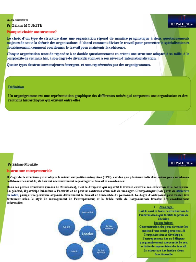 Formes de Structures Organisationnelles Ou Organigrammes - 221003 - 111904 | PDF | Business ...