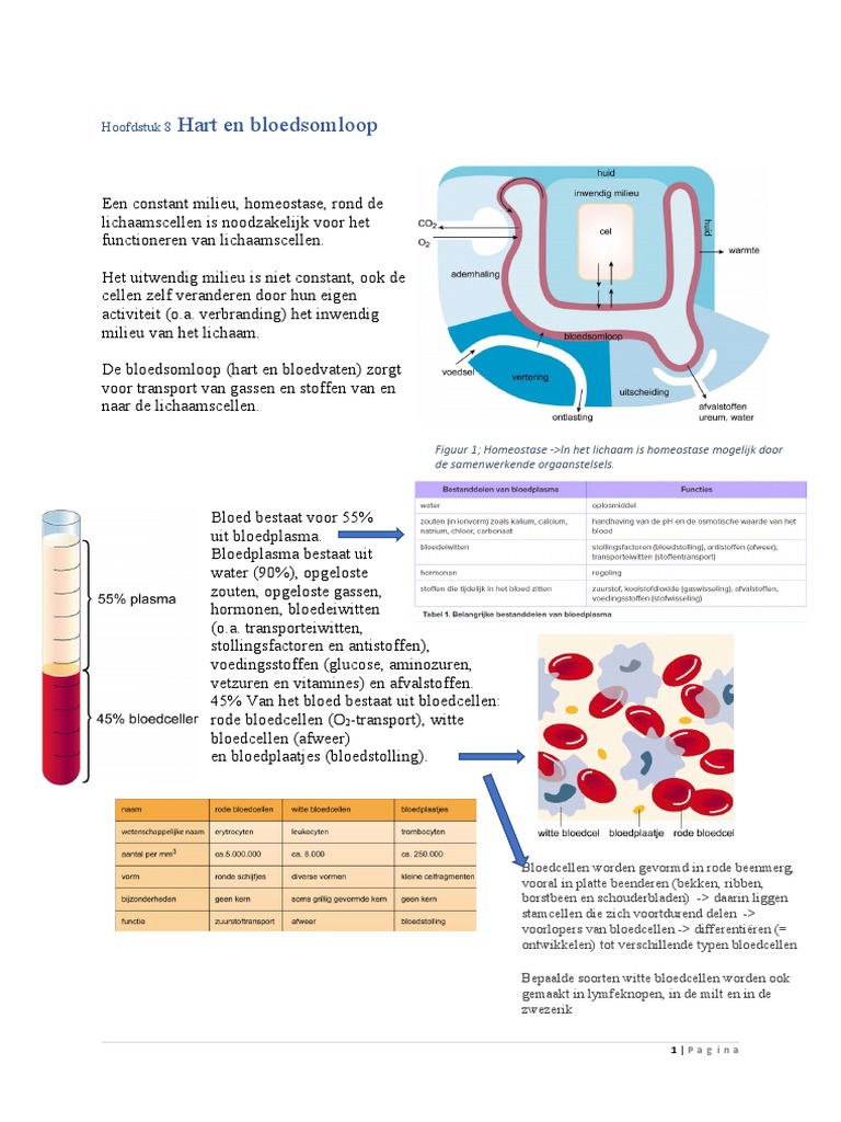 Hoofdstuk 8 Hart en Bloedsomloop | PDF