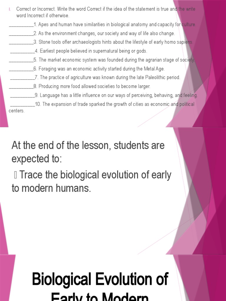 Biological Evolution of Humans | PDF | Human | Bipedalism