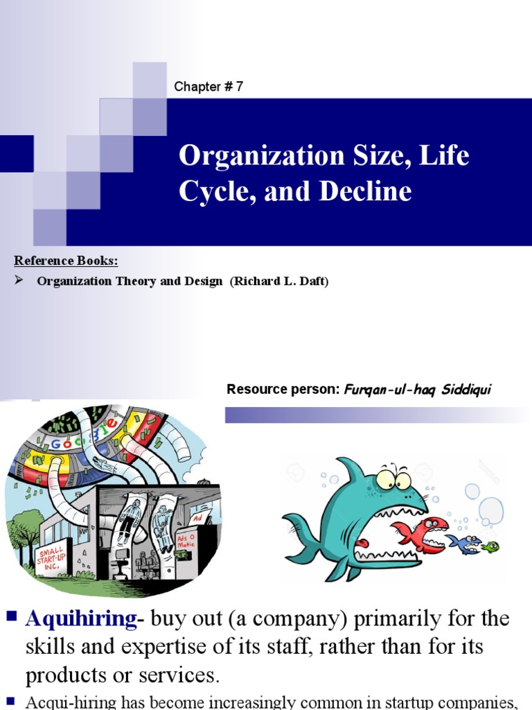 Organization Size and Life Cycle Dynamics | PDF | Entrepreneurship ...