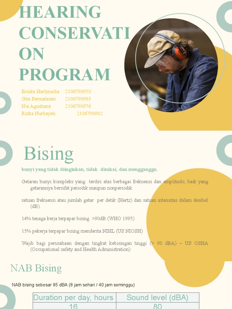 Hearing Conservation Program | PDF