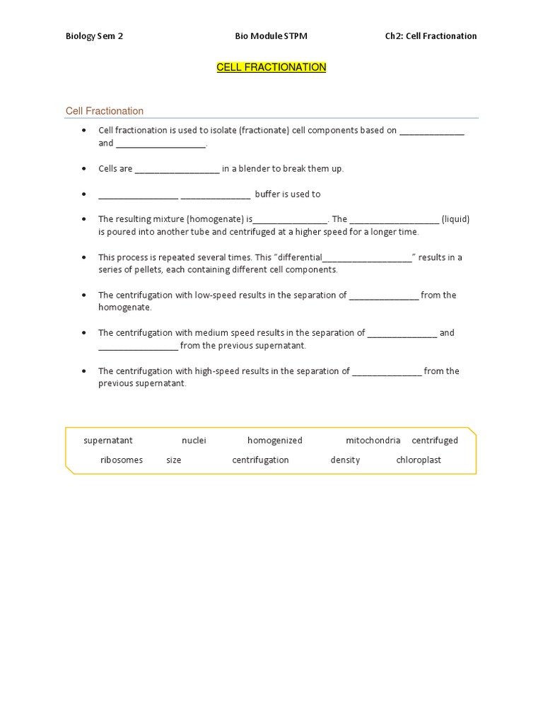 Isolation And Identification Of Cellular Components Through Differential Centrifugation Pdf