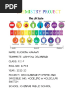 Investigatory Project On Red Cabbage PH Paper: Submitted | PDF | Ph ...