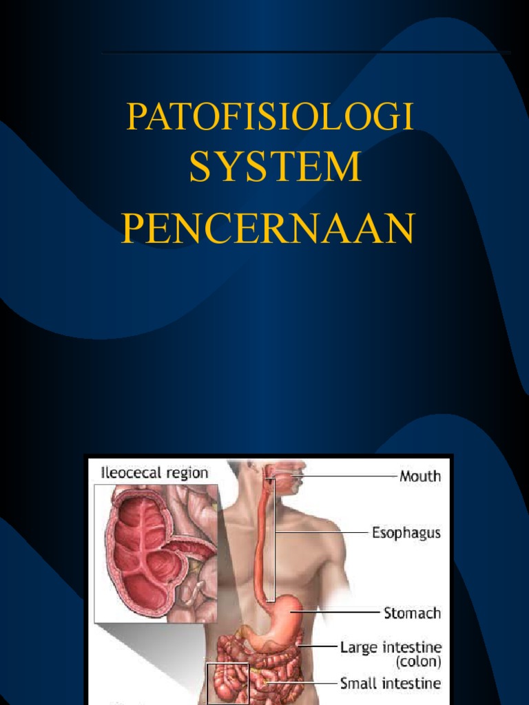 Patofisiologi Pencernaan | PDF