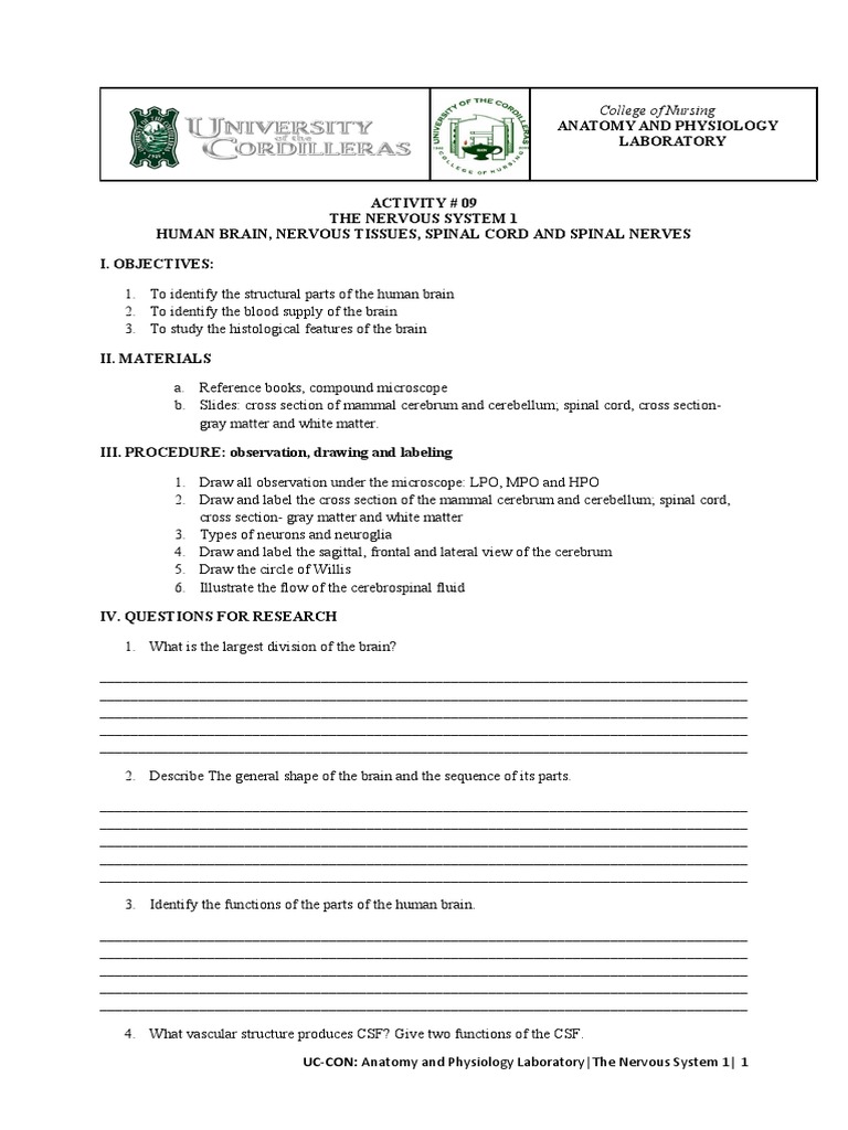 09 Nervous System 1 - Human Brain Spinal Cord and Nerves | PDF ...