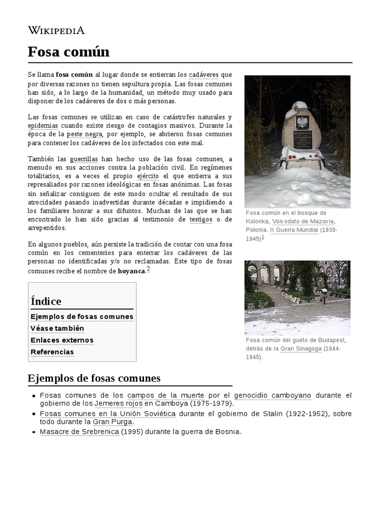 Fosa Común | PDF