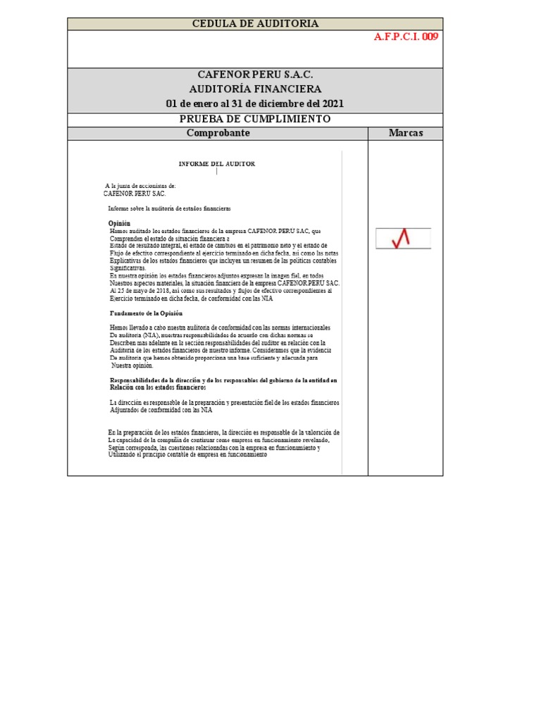 Cedula de Auditoria | PDF | Auditoría | Bancos