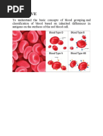 Amoeba Sisters Mutations Recap Guide | PDF | Genetic Code | Point Mutation