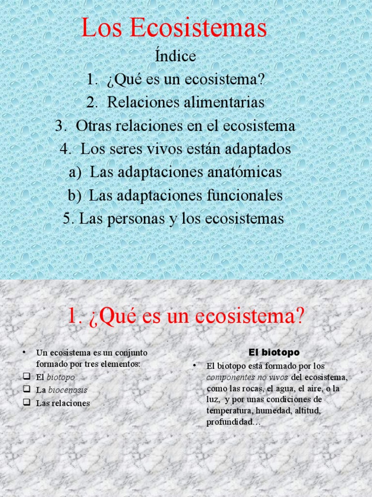 Los Ecosistemas Presentación | PDF