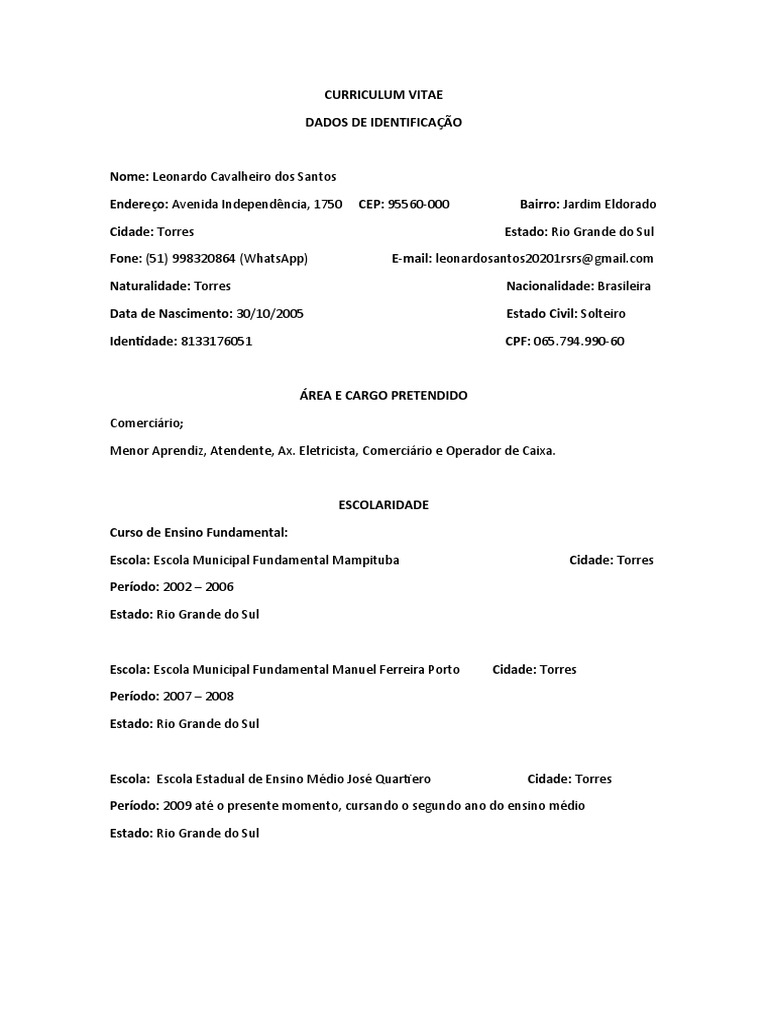 Curriculum Vitae Leo | Download Free PDF | Escolas