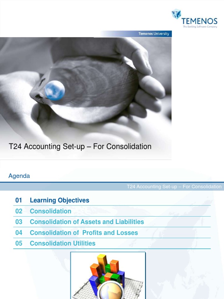 T24 Accounting Set-Up - For Consolidation - R14.01 | PDF | Debits And ...