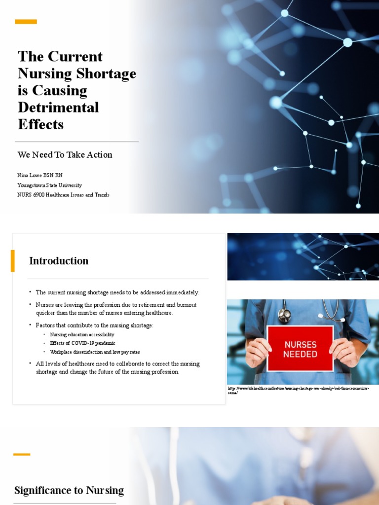 Nursing Issue PP | Download Free PDF | Nursing | Cost Of Living