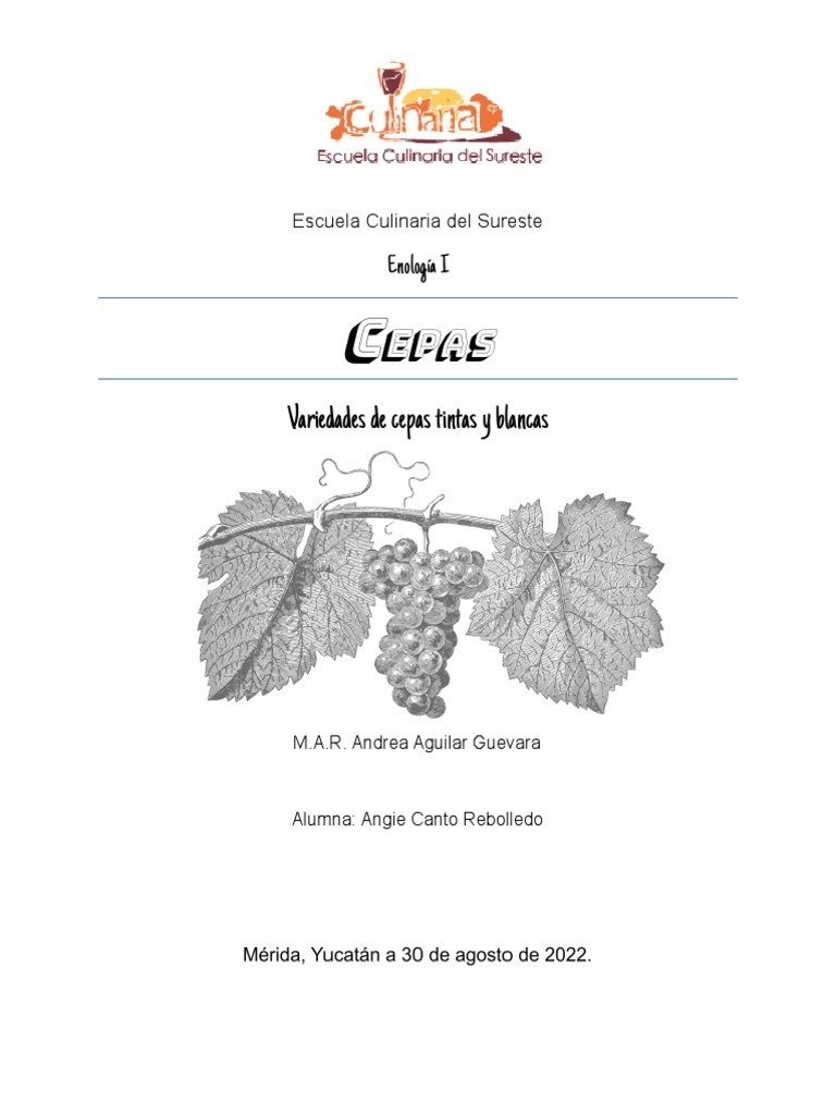 Tipos de Cepas | PDF | Vino | Frutas comestibles