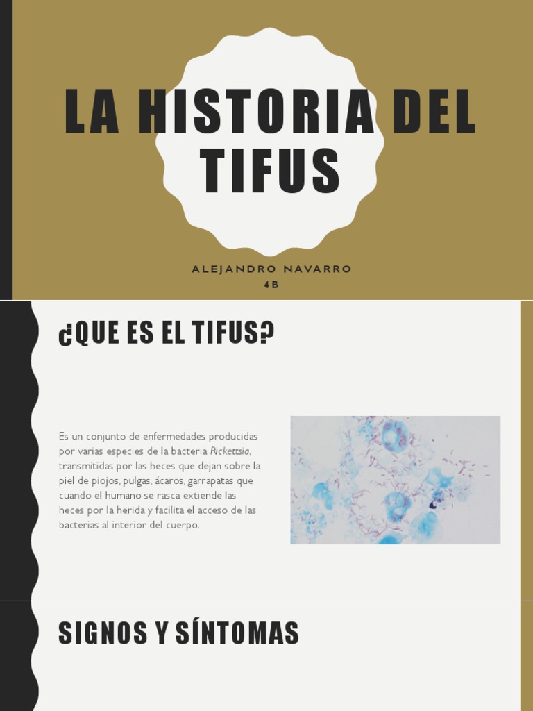 Historia del tifus: causas, síntomas y personajes afectados | PDF