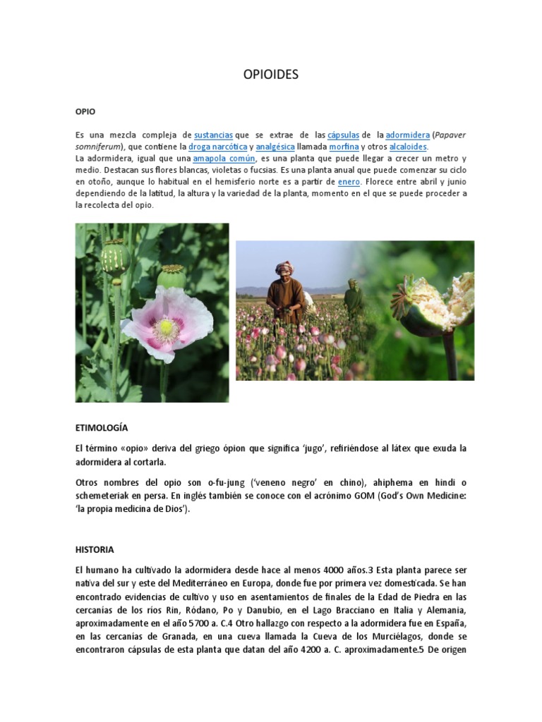OPIOIDES | PDF | Opioide | Farmacología
