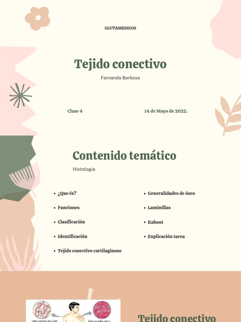 Tejido Conectivo | Descargar gratis PDF | Tejido conectivo | Anatomía