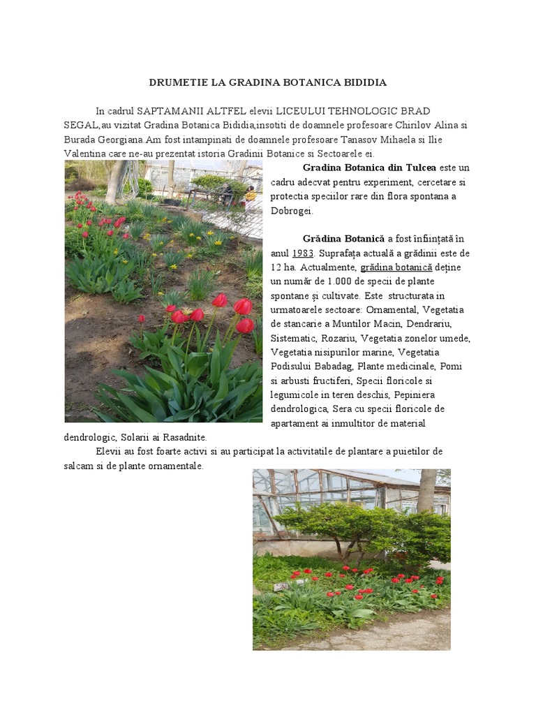 Drumetie Gradina Botanica | PDF