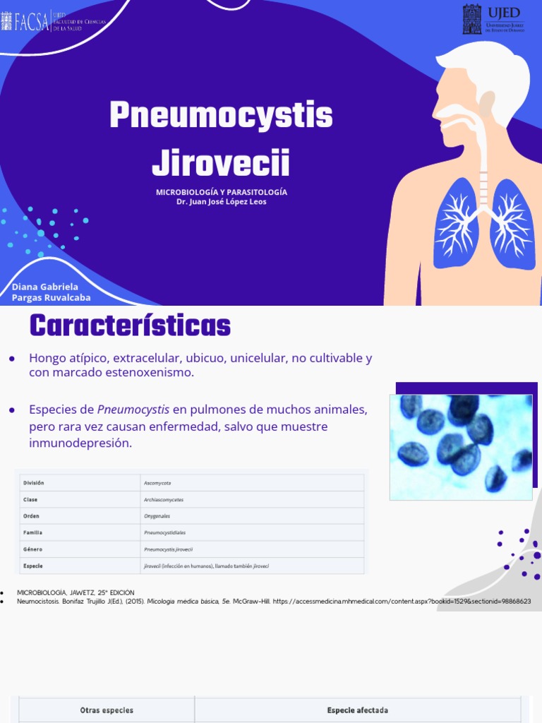 Pneumocystis Jirovecii Overview and Diagnosis | PDF