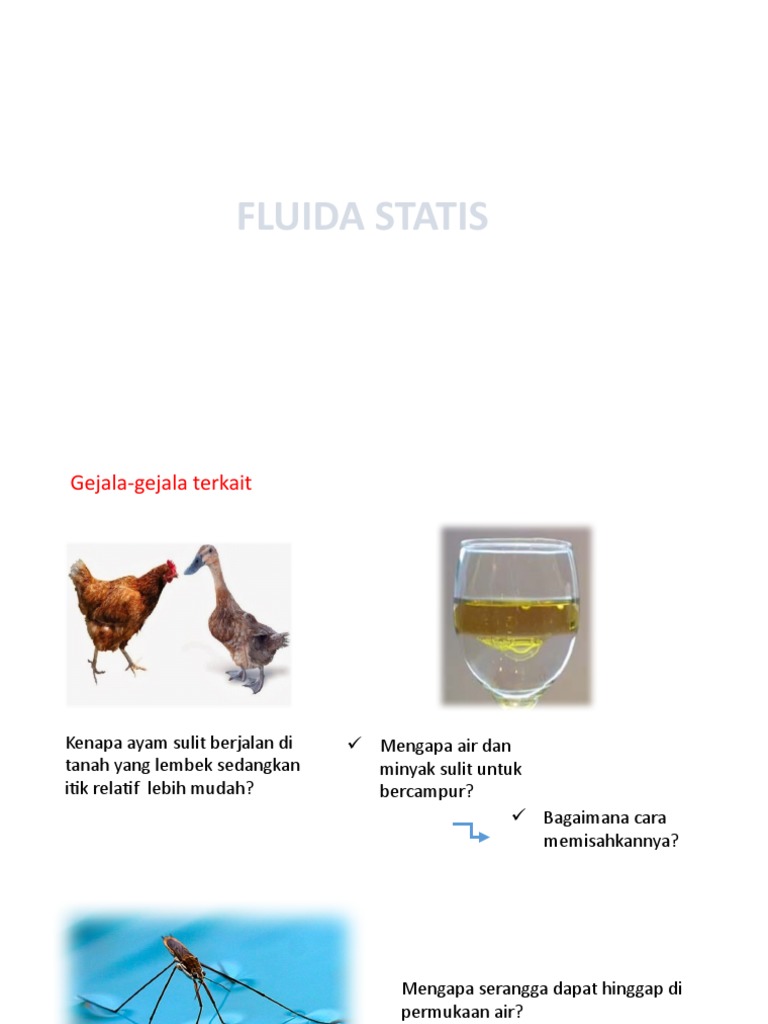 Fluida Statis | PDF | Kajian Bahasa Asing | Sains & Matematika