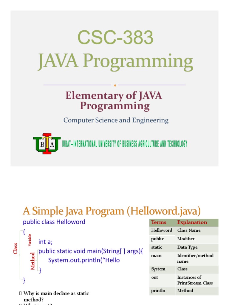 Lecture 2 Elementary Programming Pdf Variable Computer Science Constructor Object