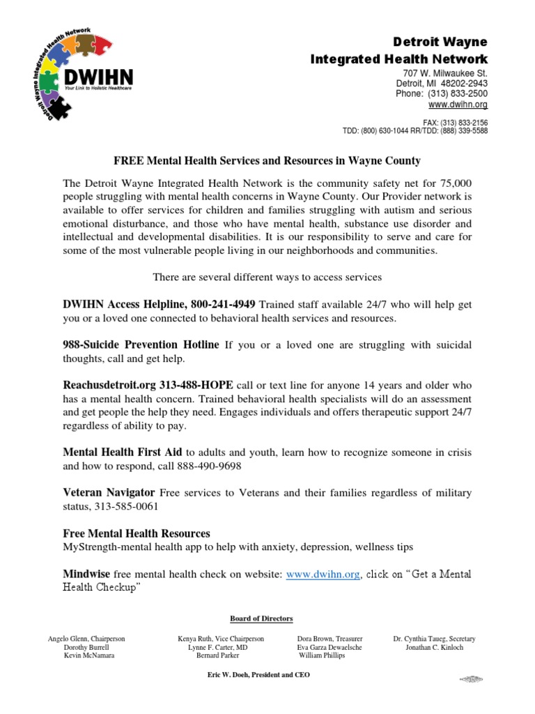DWIHN Access To Healthcare | PDF | Mental Health | Mental Disorder