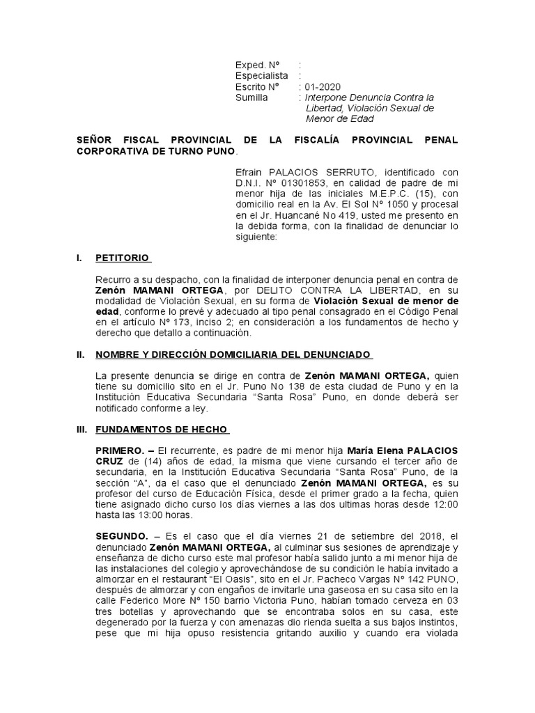 Denuncia Penal Por Violacion Sexual | PDF | Violación | Justicia
