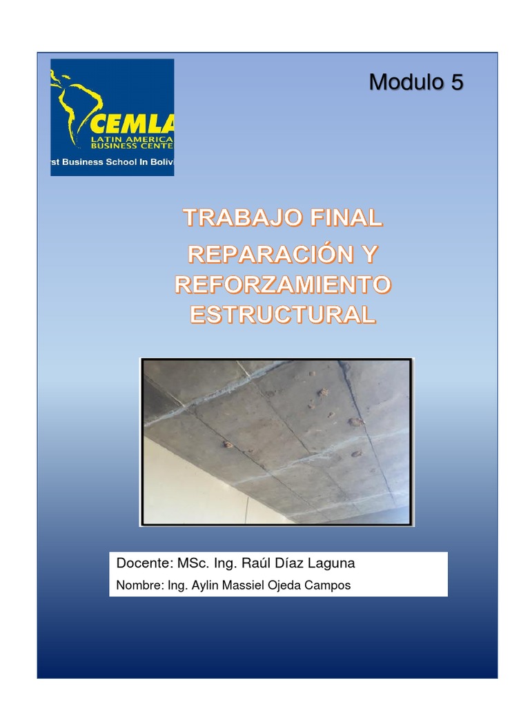 TRabajo Final | PDF | Hormigón | Corrosión