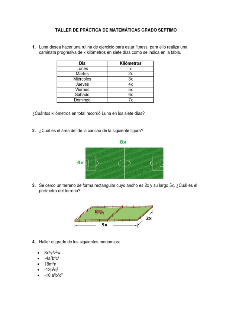 Taller de Práctica de Matemáticas Grado Septimo | PDF
