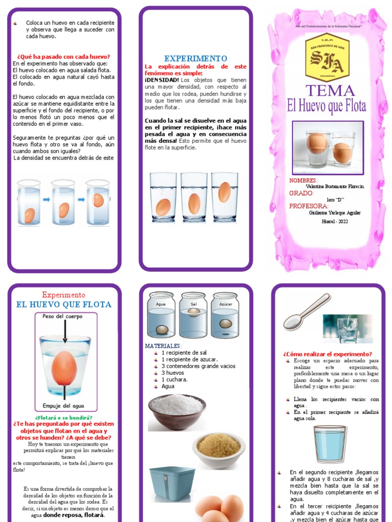 El Huevo Flotante Experimiento Triptico | PDF | Agua | sal