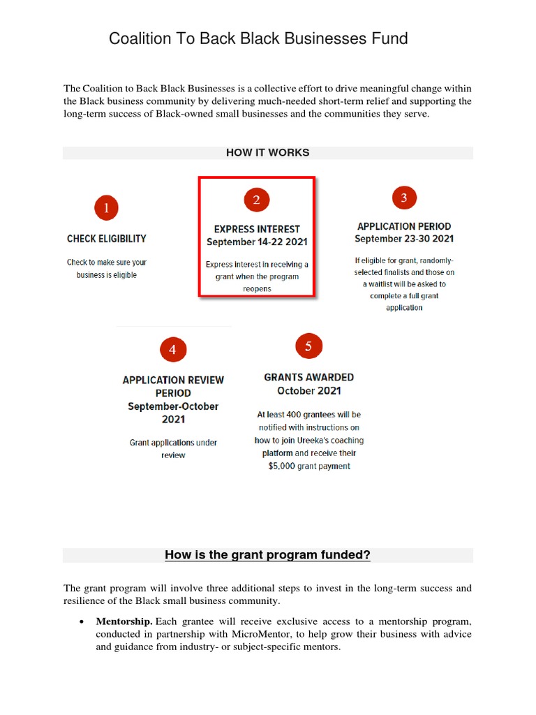 Black Business Grants & Support | PDF | Mentorship | Economies