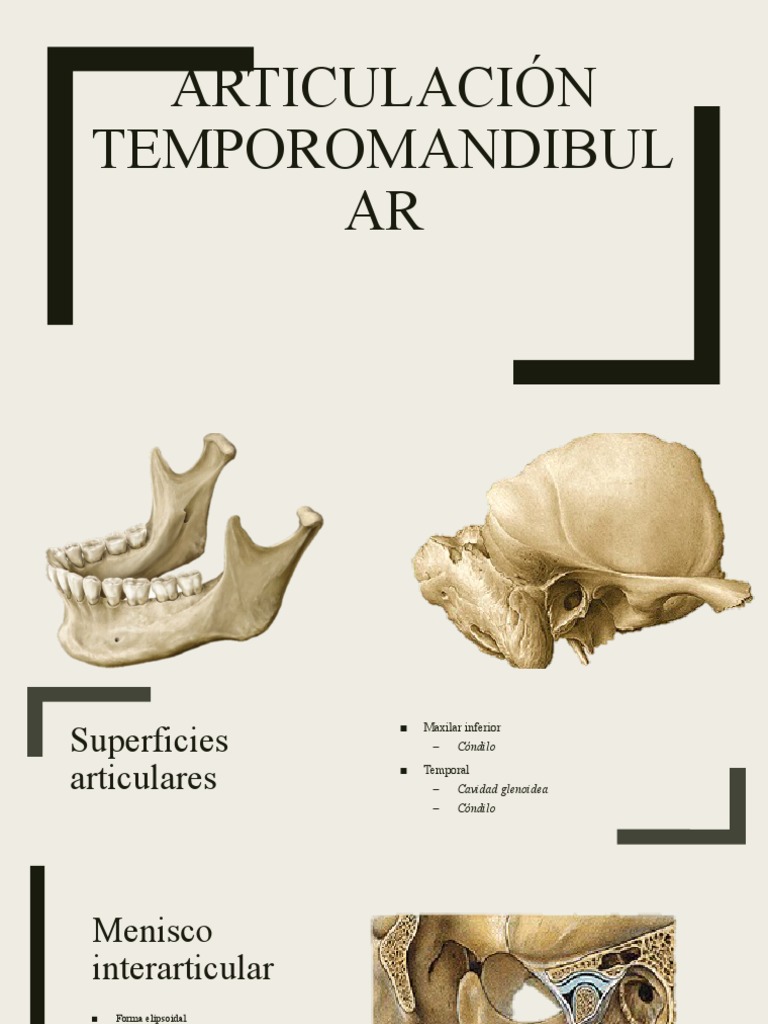 Atm Comp | PDF | Sistema esquelético | Cabeza y cuello humanos