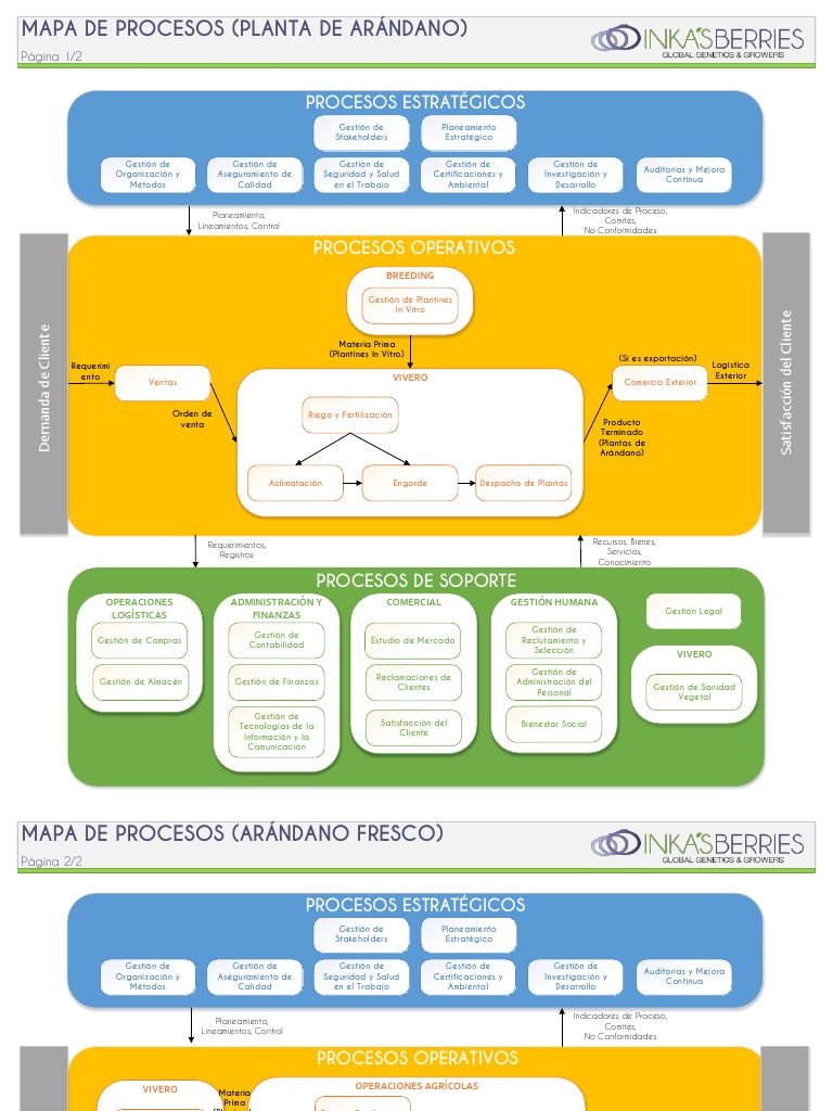 Mapa de Procesos | PDF | Logística | Agricultura