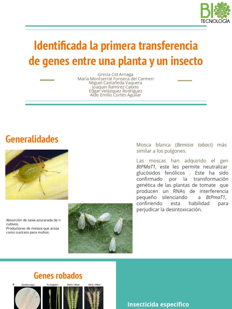 BV - Transferencia de Genes Planta-Insecto | PDF | Virus | Genoma