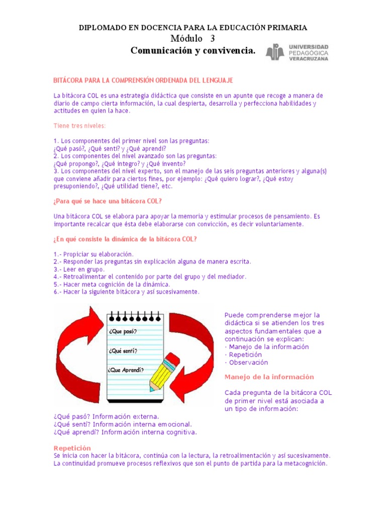 Bitácora COL: Estrategia de Aprendizaje | PDF | Teoria de la mente ...