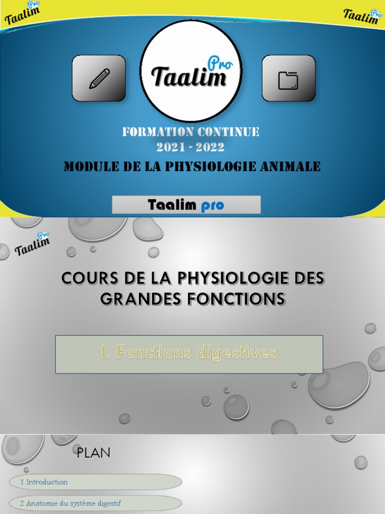 Taalim Pro - Système Digestif - 2022 | Descargar gratis PDF | Appareil ...