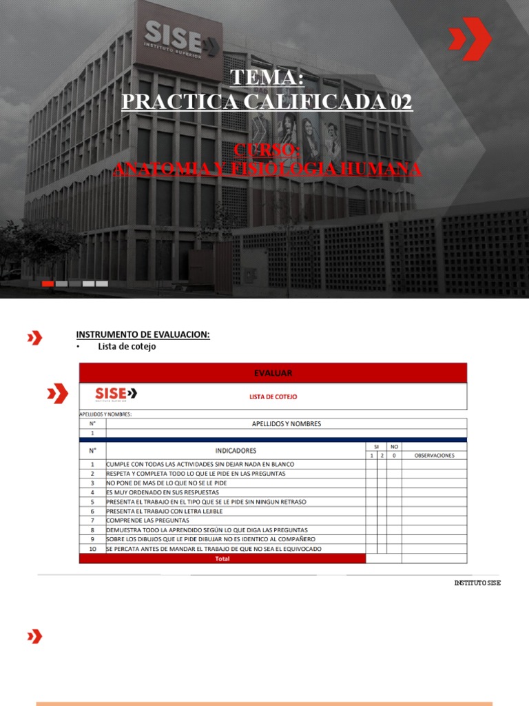 2 Practica Calificada Flores Añanca 1 | PDF | Corazón | Abdomen