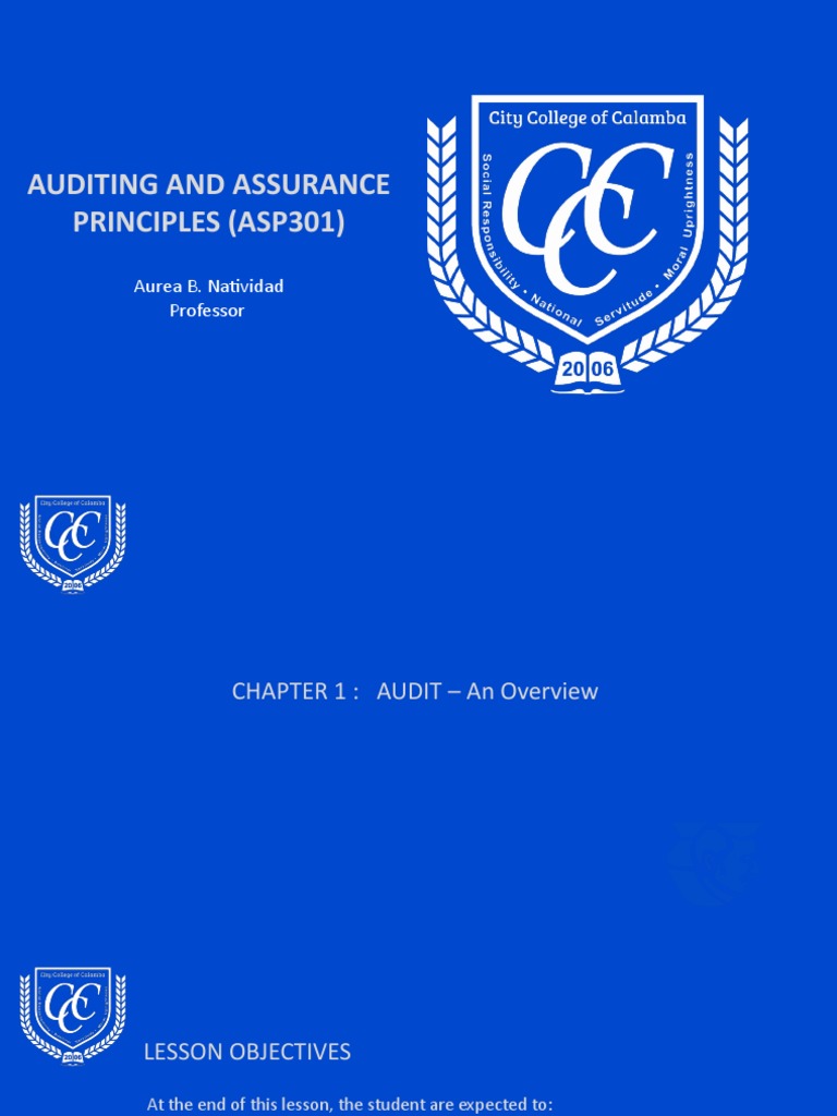 AuditingTheory Chapter1 | PDF | Financial Audit | Audit