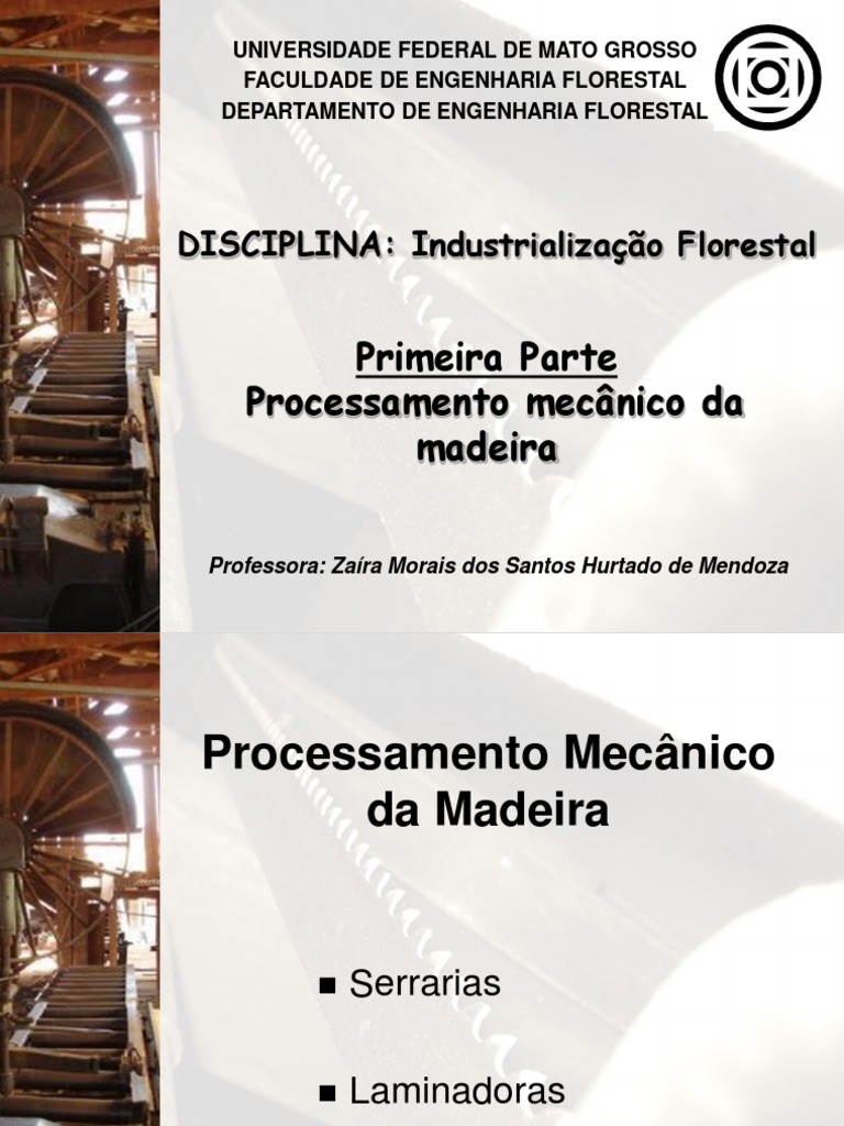 Resumo Das Aulas Teóricas - Ava | PDF | Madeira | Silvicultura Resumo Das Aulas Teóricas - Ava | PDF | Madeira | Silvicultura