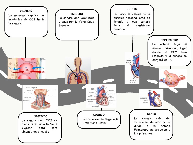Origen de Borcelle | PDF
